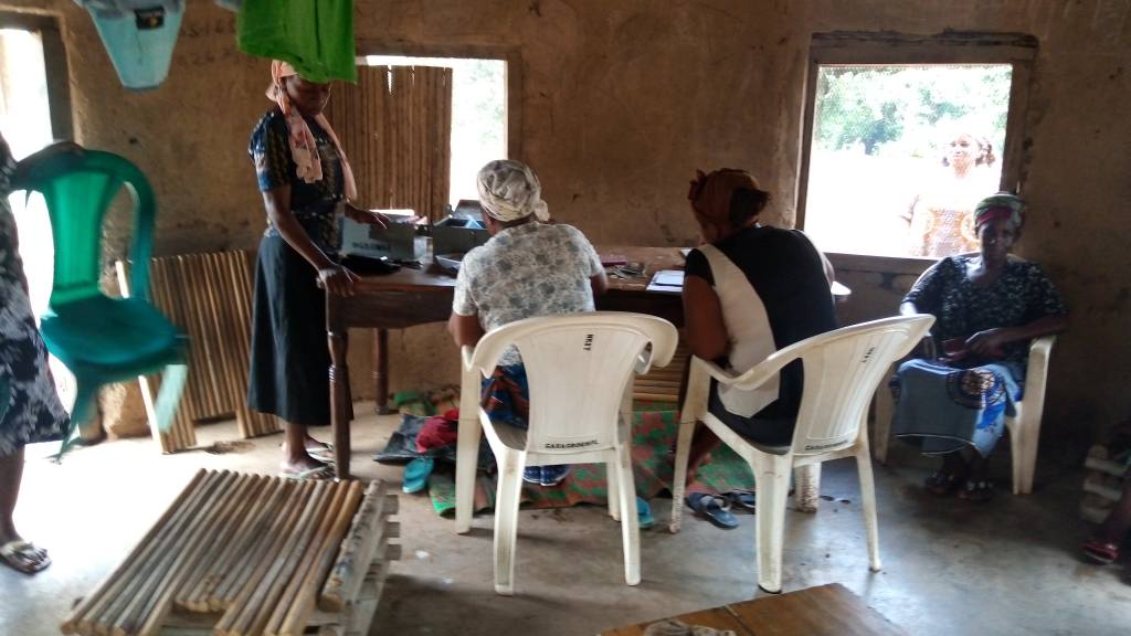 Nigerian Association of Women in Agriculture - NAWIA